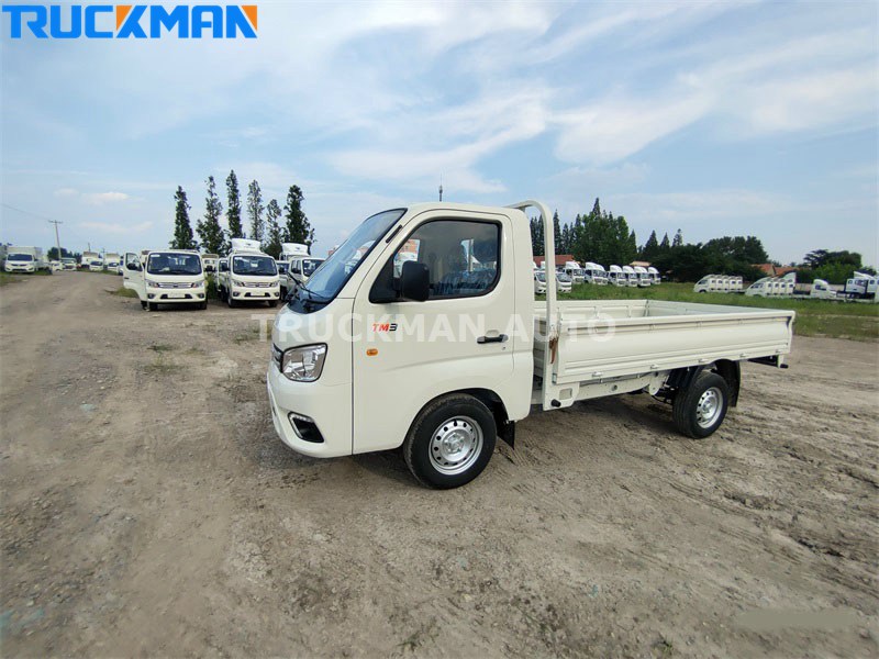 4x2 FOTON TM3 Light Cargo Truck To Dominican