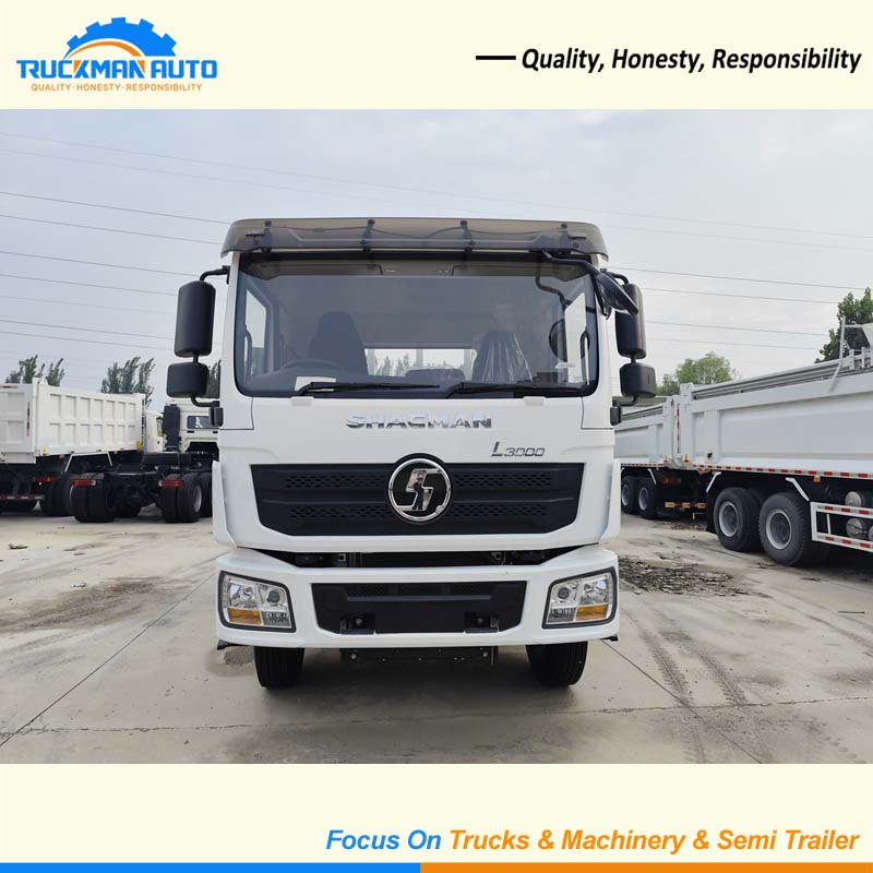 SHACMAN L3000 240Hp 4X2 6 Wheels Lorry Truck For South America
